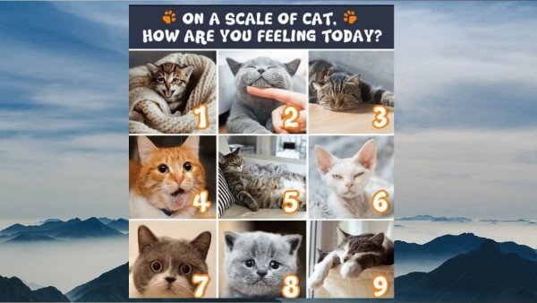 SM 2 unit 3 lesson 4 | Genially