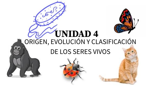 Origen, evolución y clasificación de los seres vivos (1 BACH) | Genially