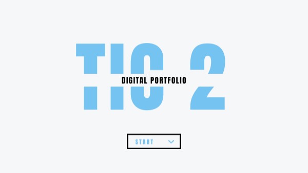 TIC DIGITAL PORTFOLIO