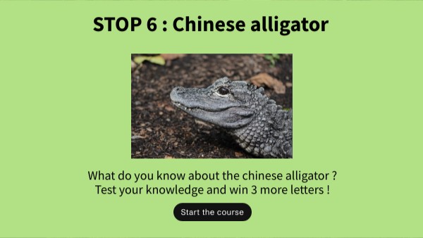 copy alligator | Genially