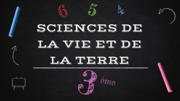 COURS 3èmes | Genially