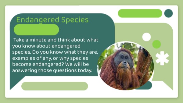Endangered Species | Genially