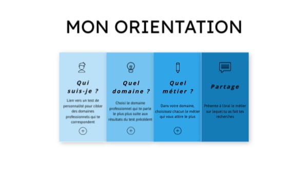 Travail orientation 1ère