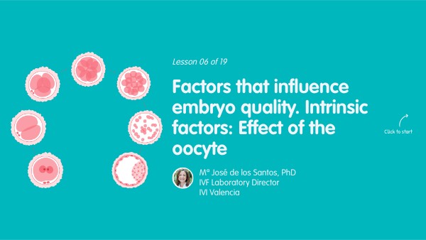 12-06 Factors that influence embryo quality. Intrinsic factors: Effect | Genially