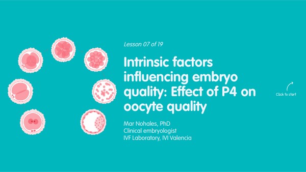 12-07 Intrinsic factors influencing embryo quality: Effect of P4 on oo