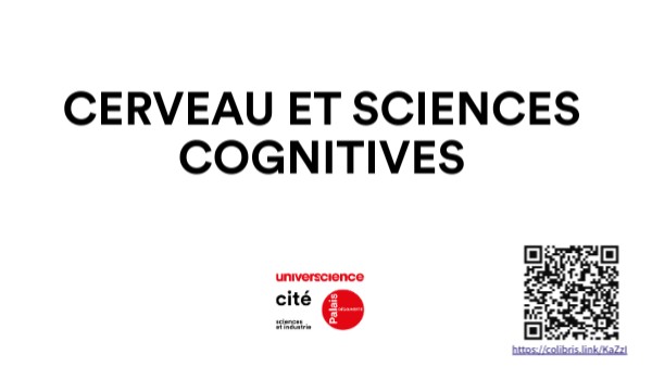 Cerveau et sciences cognitives | Genially