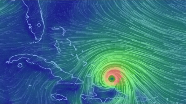 Third Grade_Science_W6_Q1 | Genially