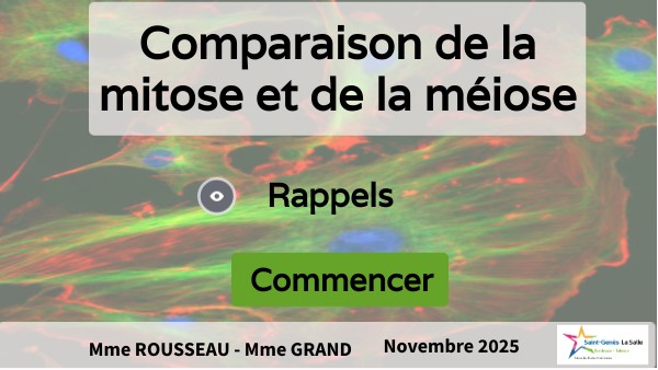 Rappels sur la mitose et la méiose - Term Spé SVT | Genially