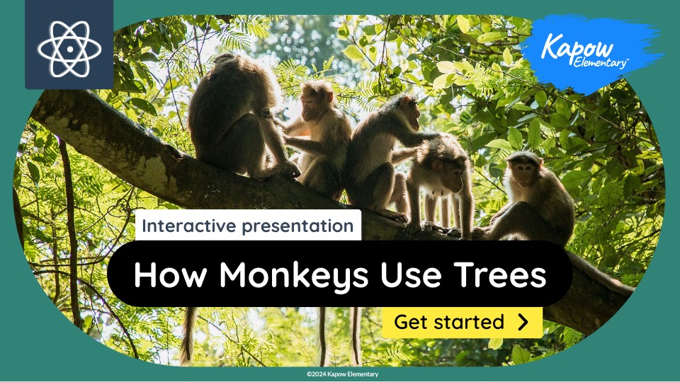 Science_L2a_Monkey Habitat