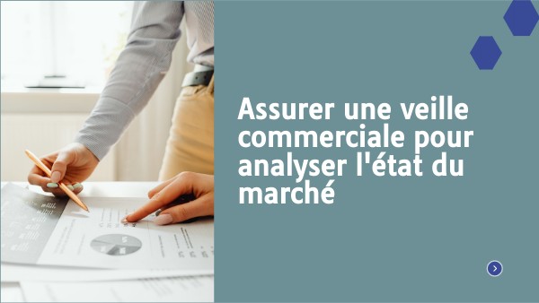 DEMO - ASSURER UNE VEILLE COMMERCIALE POUR ANALYSER L'ETAT DU MARCHE | Genially