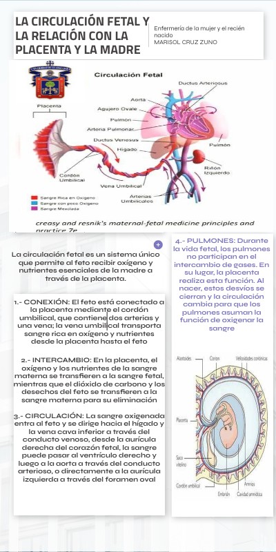 ONE PAGER CORP VERTICAL | Genially