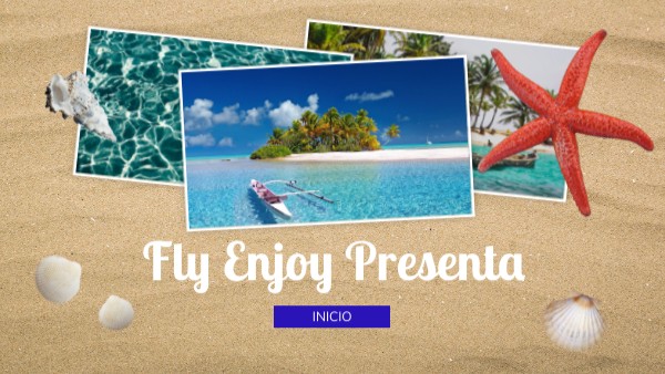 FlyEnjoy