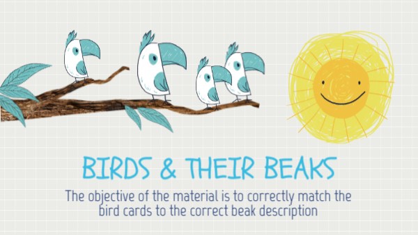 Copy - Birds & Beaks Matching | Genially