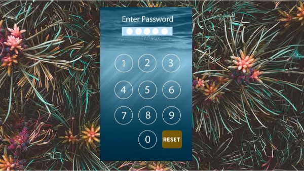 Password Yincana v2 | Genially