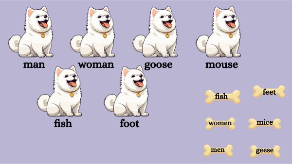 irregular plurals | Genially