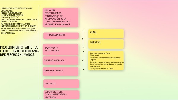R4. PROCEDIMIENTO ANTE LA CORTE INTERAMERICANA DE DERECHOS HUMANOS ...