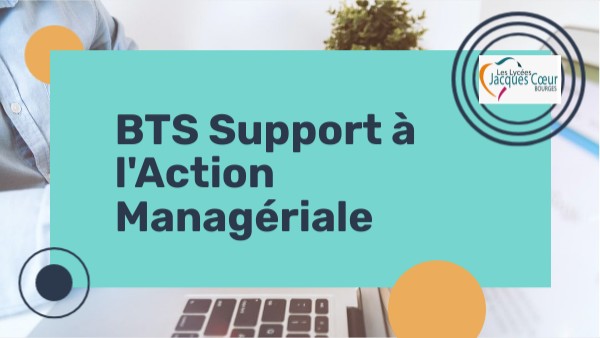 Copie - Présentation BTS SAM