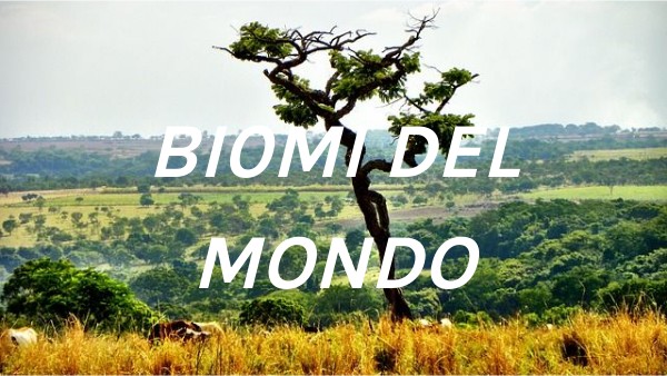 biomi del mondo