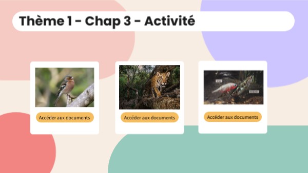 2nd-Th1-Chap3-Act | Genially