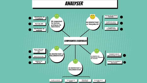 Carte mentale cerveau