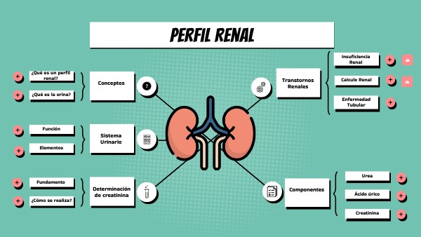 Equipo 7_Perfil Renal | Genially