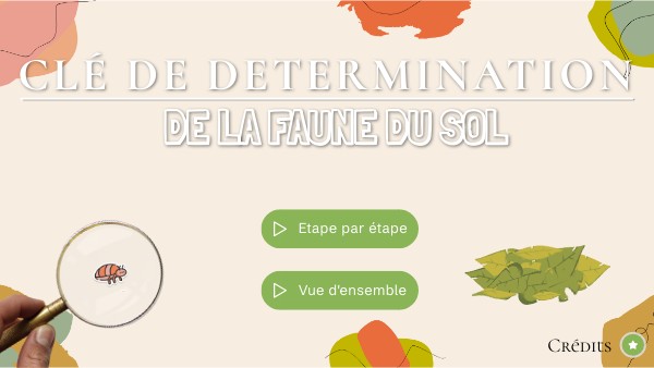 Clé de détermination de la faune du sol | Genially