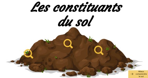 Comprendre le sol