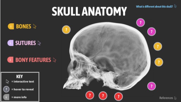 Skull Educational Resource | Genially