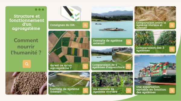 Structure d'un agrosystème | Genially