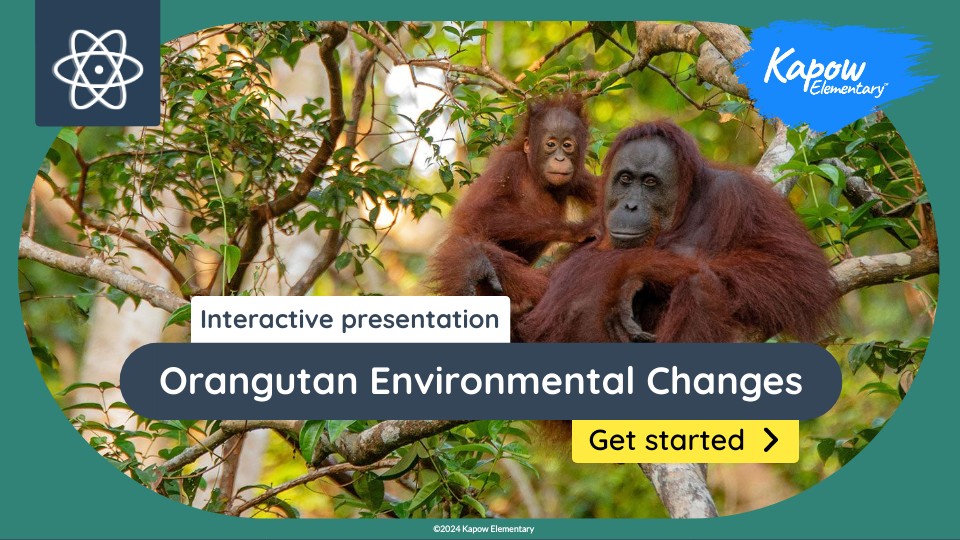 Science_L3d_Orangutan Environmental Changes