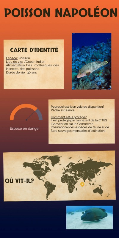 Poisson Napoléon | Genially