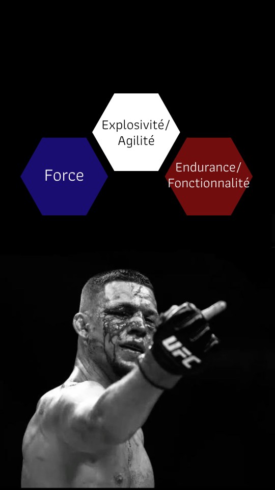 Programme muscu mars 2024 | Genially