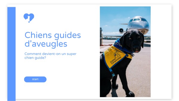 VETERINARY PRESENTATION | Genially