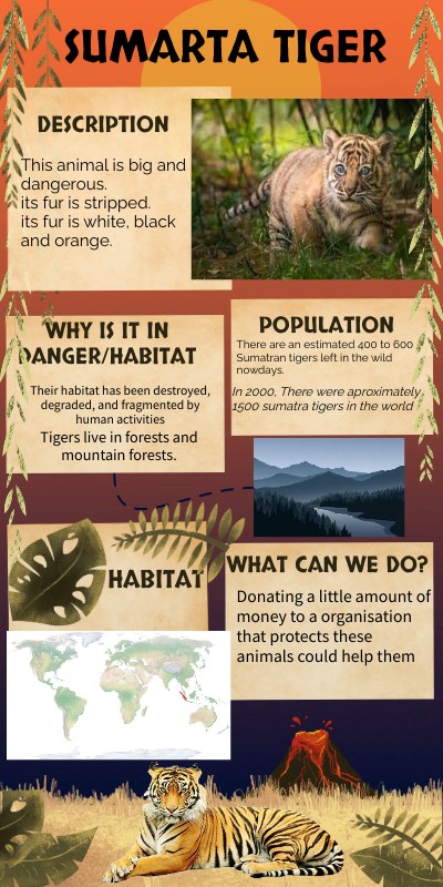 Sumatra tiger poster | Genially