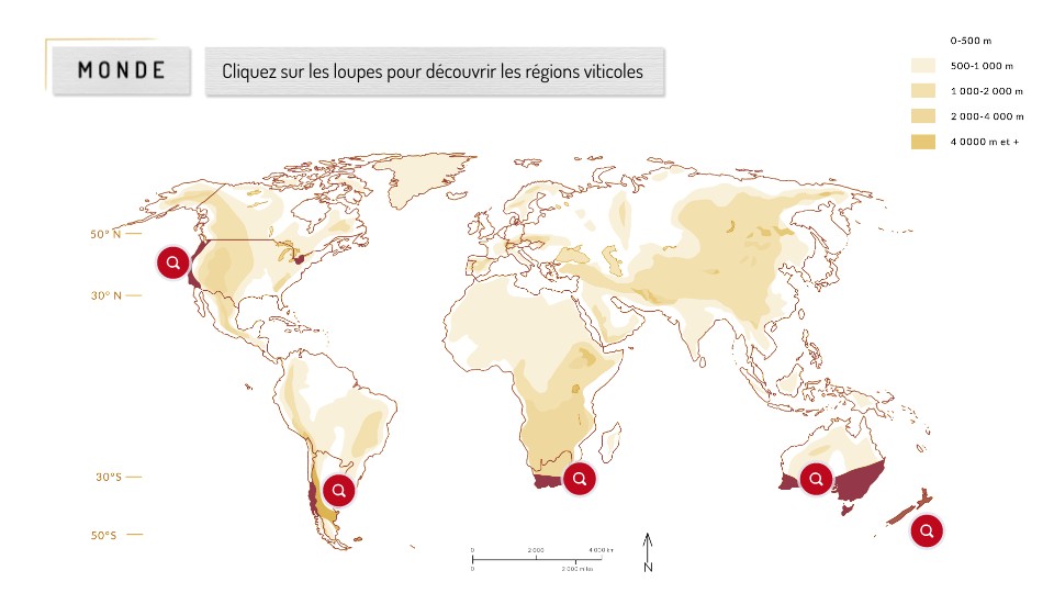 Mapmonde Pinot Noir & Chardonnay - L2f