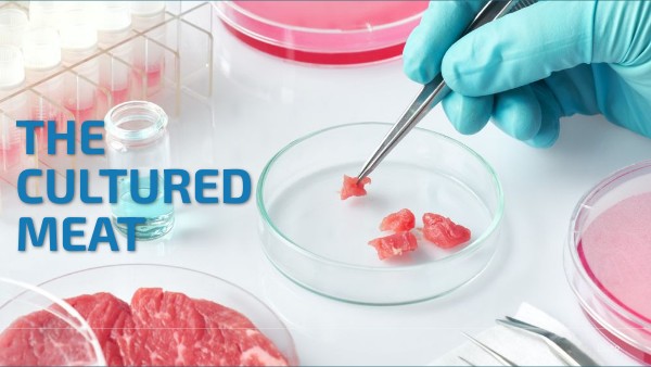 cultured meat