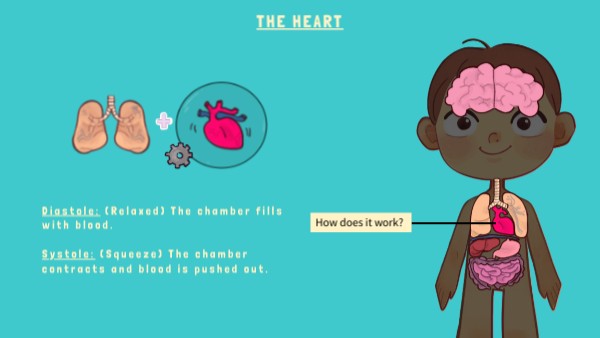 Heart 5º | Genially