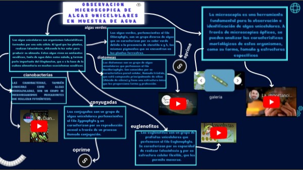 observacion microscopica de algas unicelulares en muestra de agua | Genially