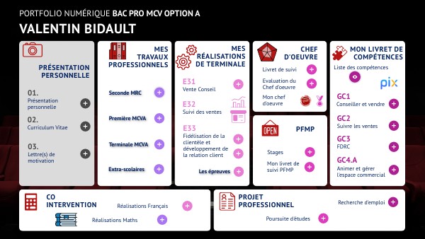 Portfolio - Bac pro MCV