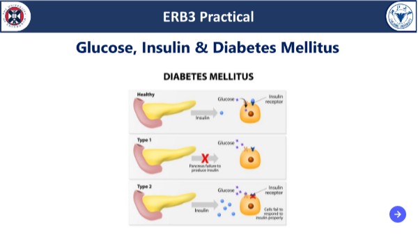 ERB3 Practical 5A | Genially