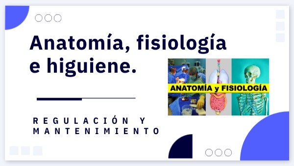 ANATOMÍA 2 SEMANA 4 | Genially