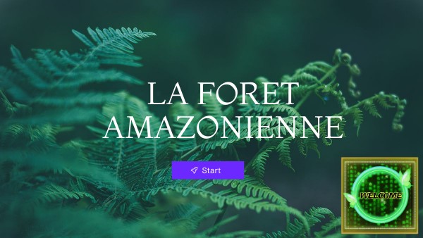 la foret amazonienne