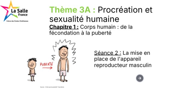 Appareil reproducteur masculin Chap 1 3A 2nd | Genially