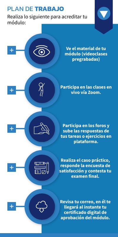 Plan de trabajo (Azúl) | Genially