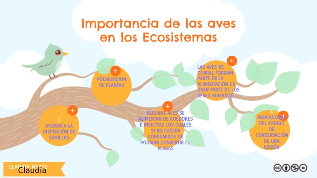 Importancia de las aves en los Ecosistemas | Genially