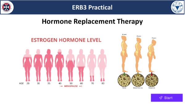 ERB3 Practical 6B | Genially