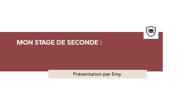 Présentation de stage | Genially