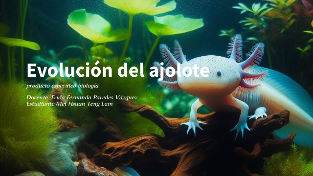 Evolucion del ajolote | Genially