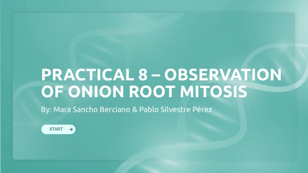 PRACTICAL 8 – OBSERVATION OF ONION ROOT MITOSIS - Mara S. & Pablo S.