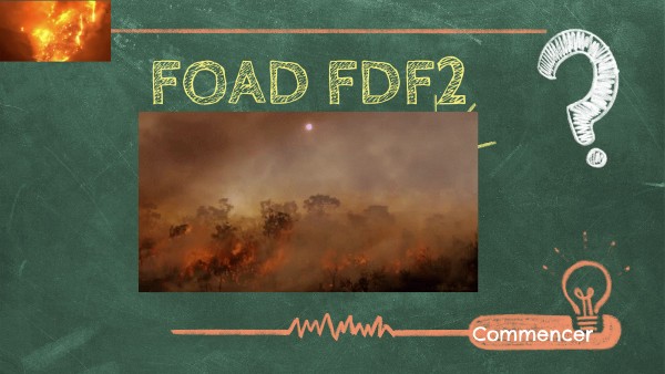 FOAD FDF2